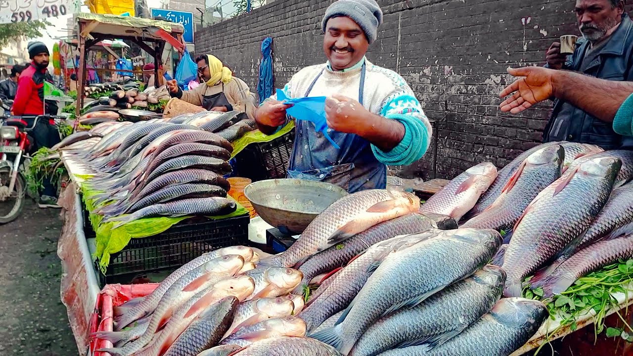 Amazing Khaga Fish Cutting & Chopping Live In Fish Market | Super Fast ...