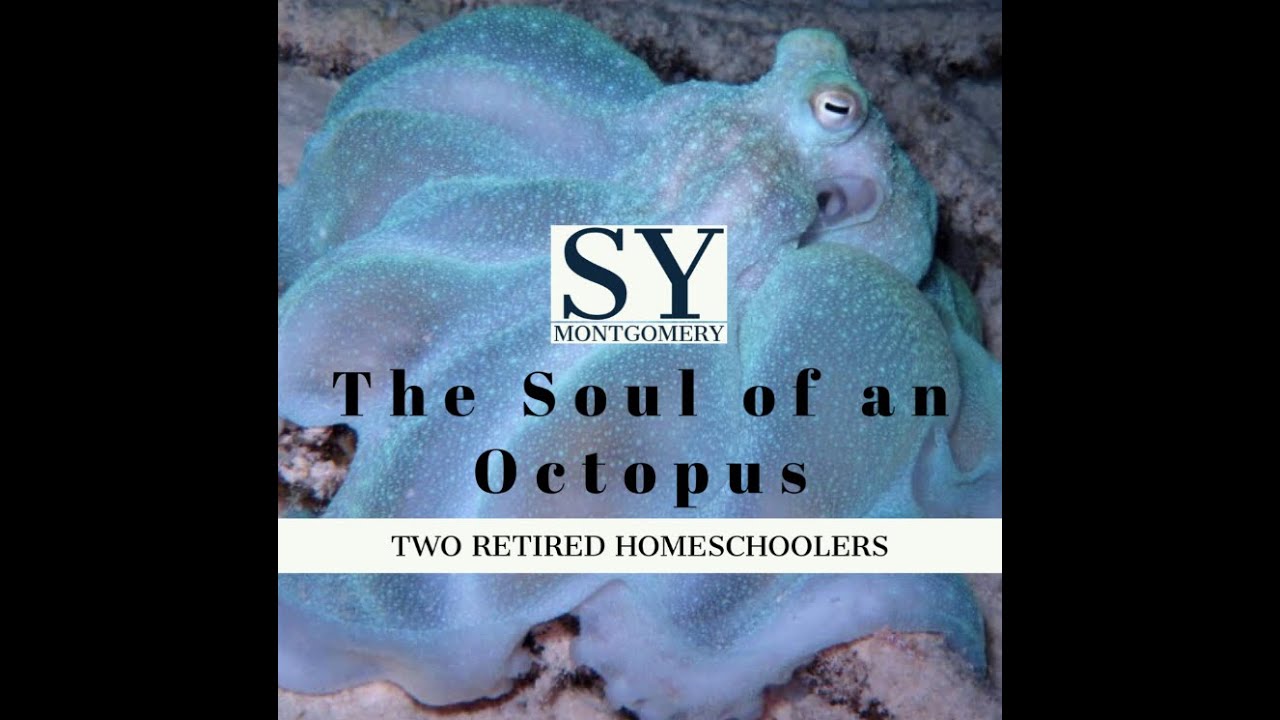 Episode 21- The Soul of an Octopus by Sy Montgomery - YouTube