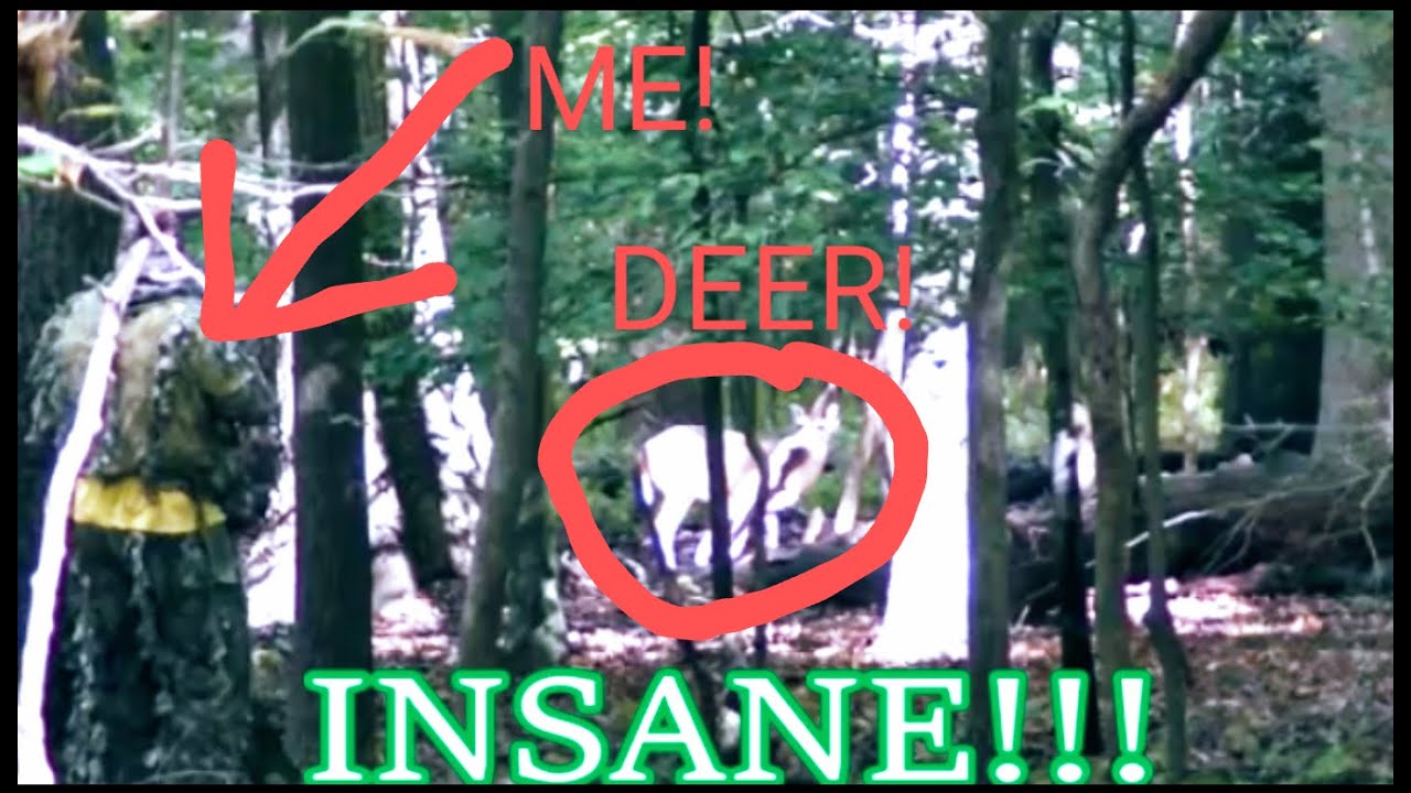 Trying for Trifecta! (loch raven hunting Ep1) - YouTube