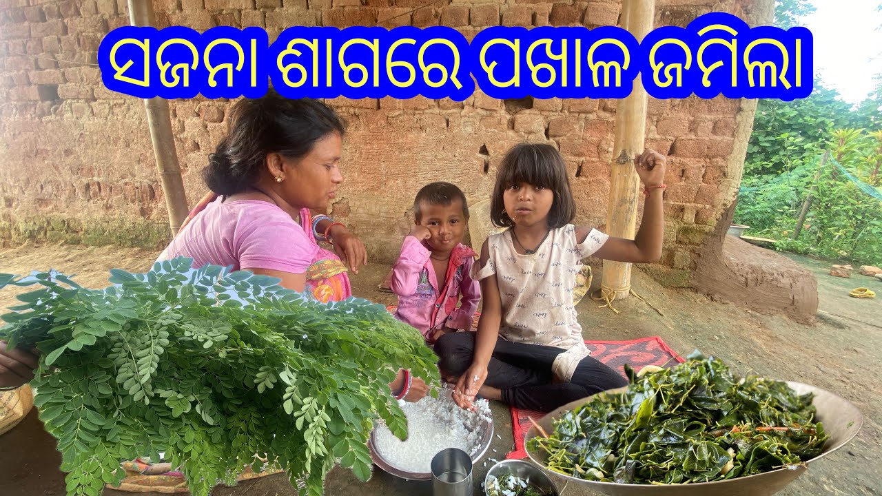 ସଜନା ଶାଗର ମଜା ନେଲେ ପିଲେ/Sajana saga recipe/sajana saga in odia recipe ...