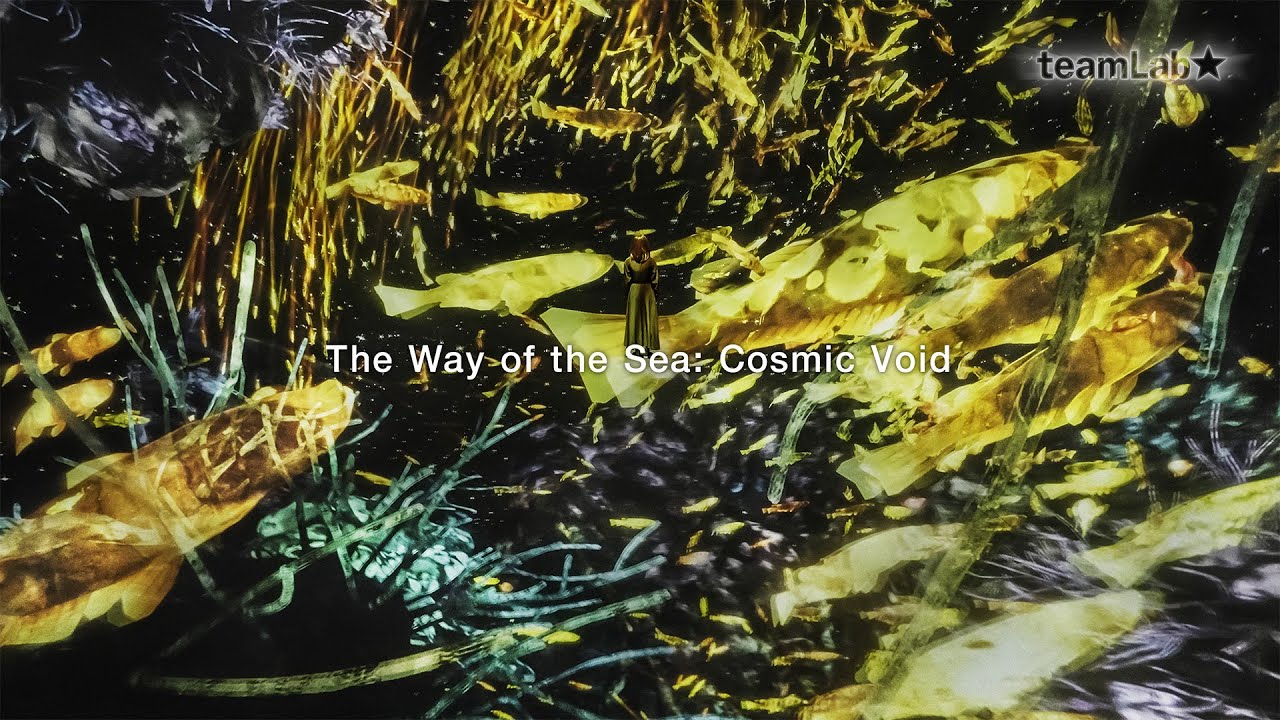 The Way of the Sea: Cosmic Void - YouTube