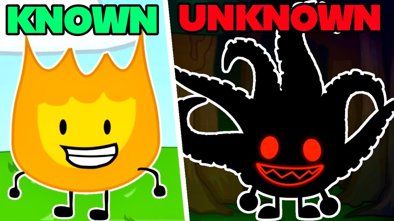 Top 5 Most MYSTERIOUS BFDI CHARACTERS? - YouTube