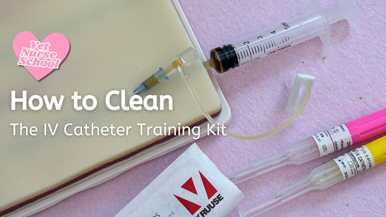 How to Clean your IV Catheter Training Kit 🩺👩🏼‍⚕️🐾 - YouTube
