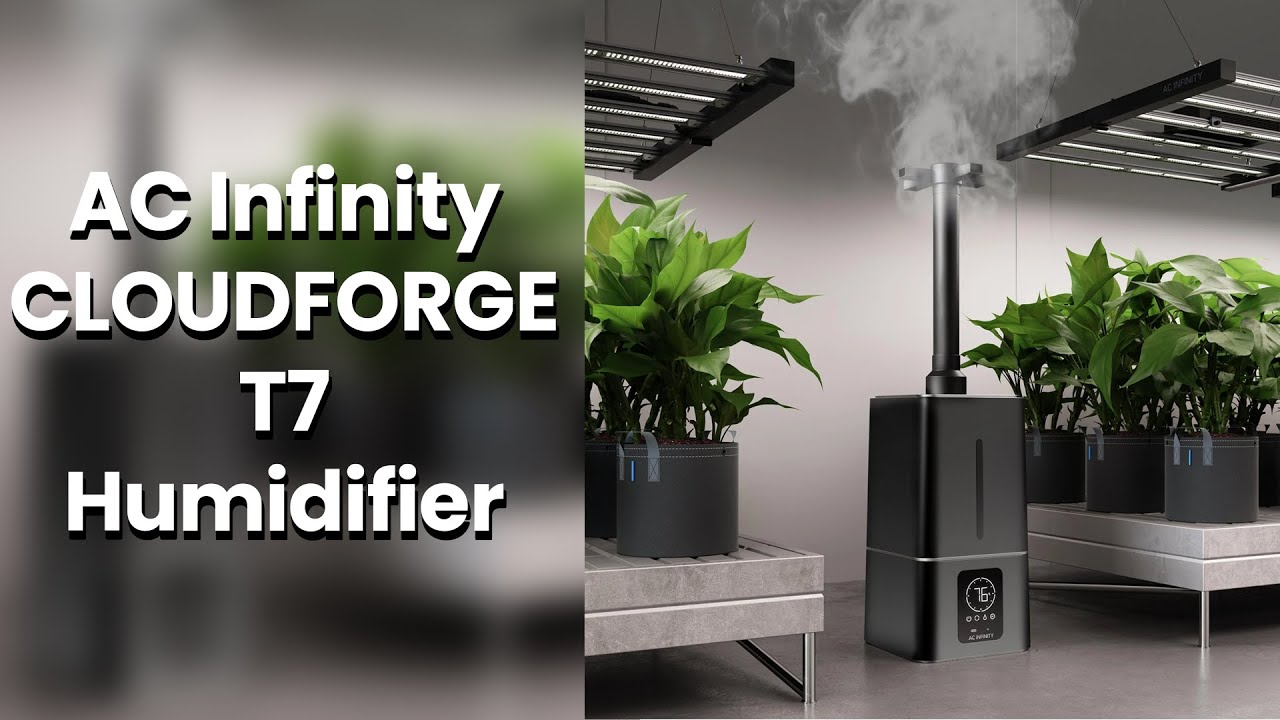 AC Infinity T7 CLOUDFORGE Humidifier | Herbal House - YouTube