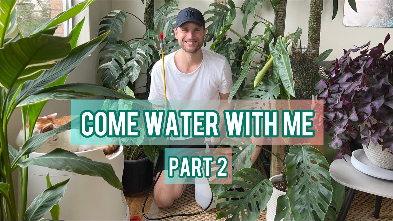 MY WATERING ROUTINE - Part 2 - YouTube