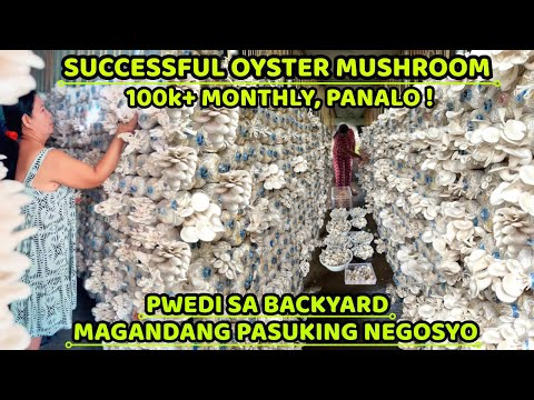 SUCCESSFUL OYSTER MUSHROOM FARMING - 100K MONTHLY, PANALO ANG KITA - PWEDI SA BACKYARD 