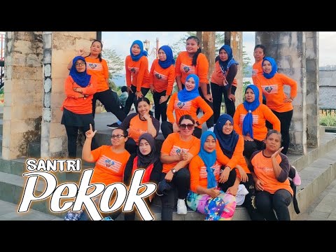 SANTRI PEKOK - Senam Kreasi // lagi viral // pargoy asik - YouTube