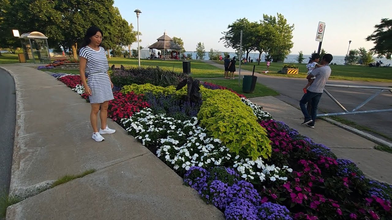 2024년 캐나다 여행 (Canada trip) 3.파인 비취 공원 (Pine Beach Park) - YouTube