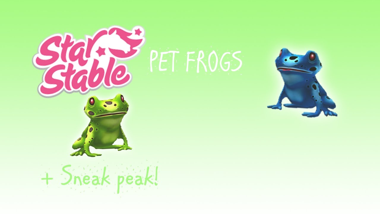 The NEW PET FROGS! + SNEAK PEEK /Star Stable - YouTube