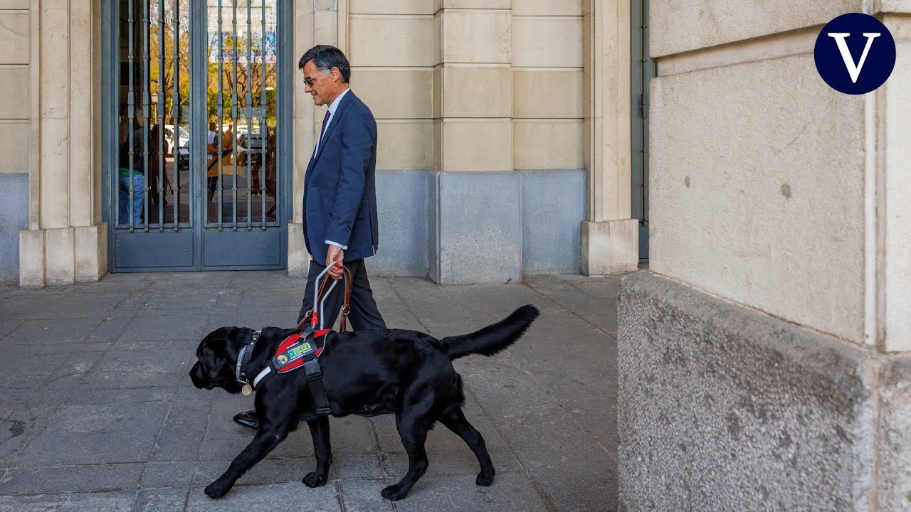 Un magistrado de la Audiencia Provincial de Sevilla, primer juez de ...