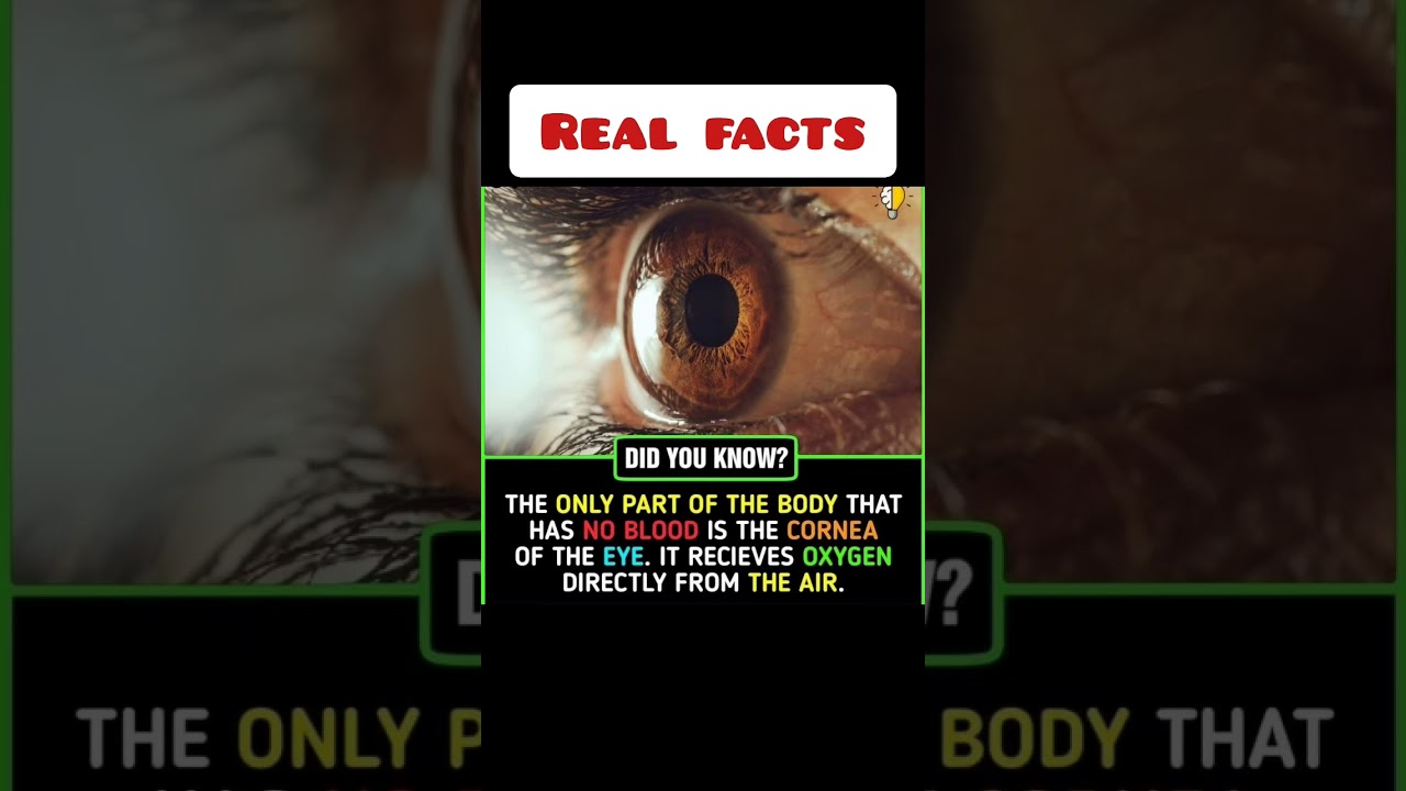 Real facts | science facts #realfacts#real #sciencefacts - YouTube