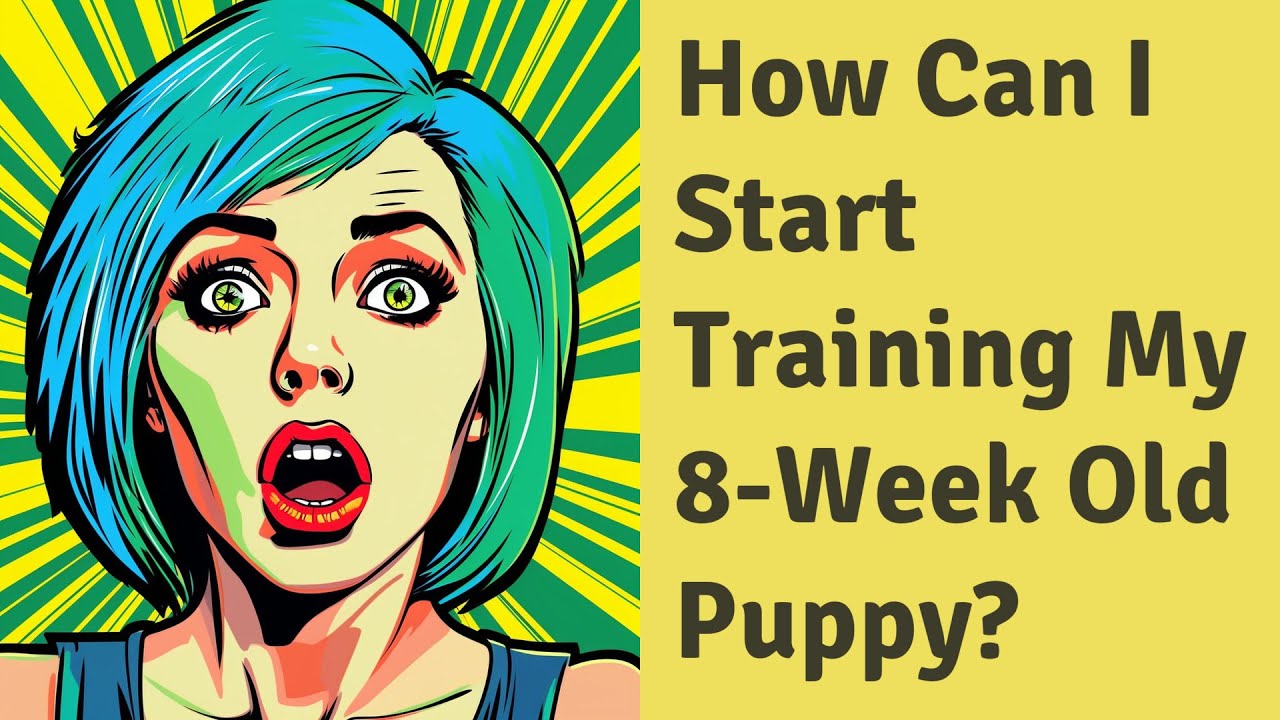 How Can I Start Training My 8 Week Old Puppy YouTube how-can-i-start-training-my-8-week-old-puppy-youtube