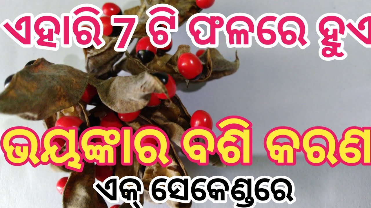 #TECBIGYAN Gunja phal | Gunja phal se Vashikaran | Gunja fal ke fayde ...