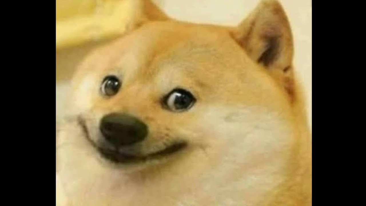 Funny doge meme song | parody song :) - YouTube