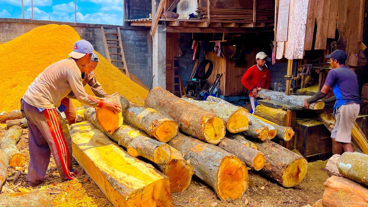 The Luckiest!! Sawing Jackfruit Wood Like This, Export-Quality Block ...