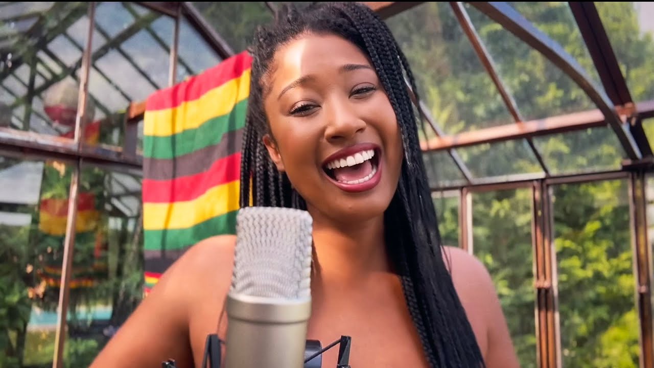 Awa Fall & Little Lion Sound - Run Dem - Dubplate [Evidence Music ...