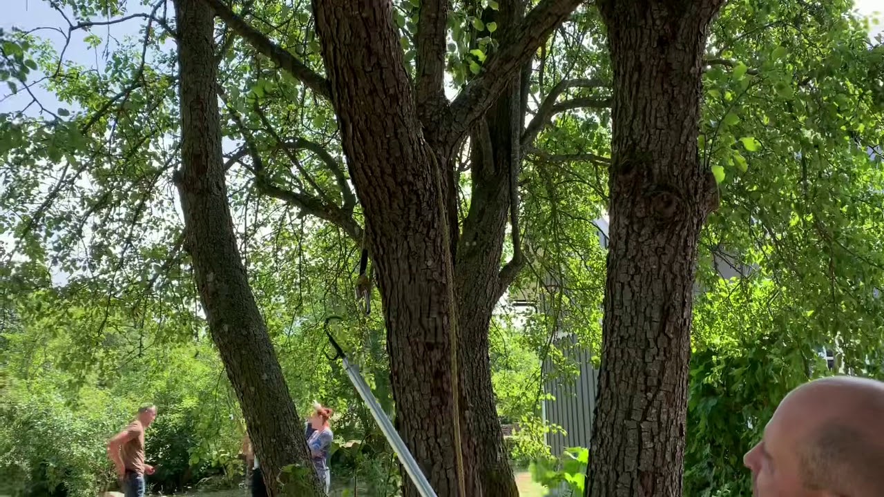 Setting rope with a telescopic pole. SRT - YouTube