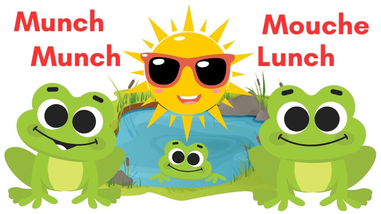 Munch Munch Mouche Lunch - Que mangent les grenouilles?(What do frogs ...