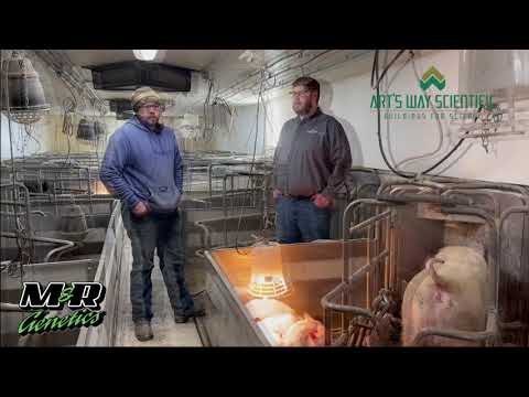 M & R Genetics show pig farrowing and nursery building.