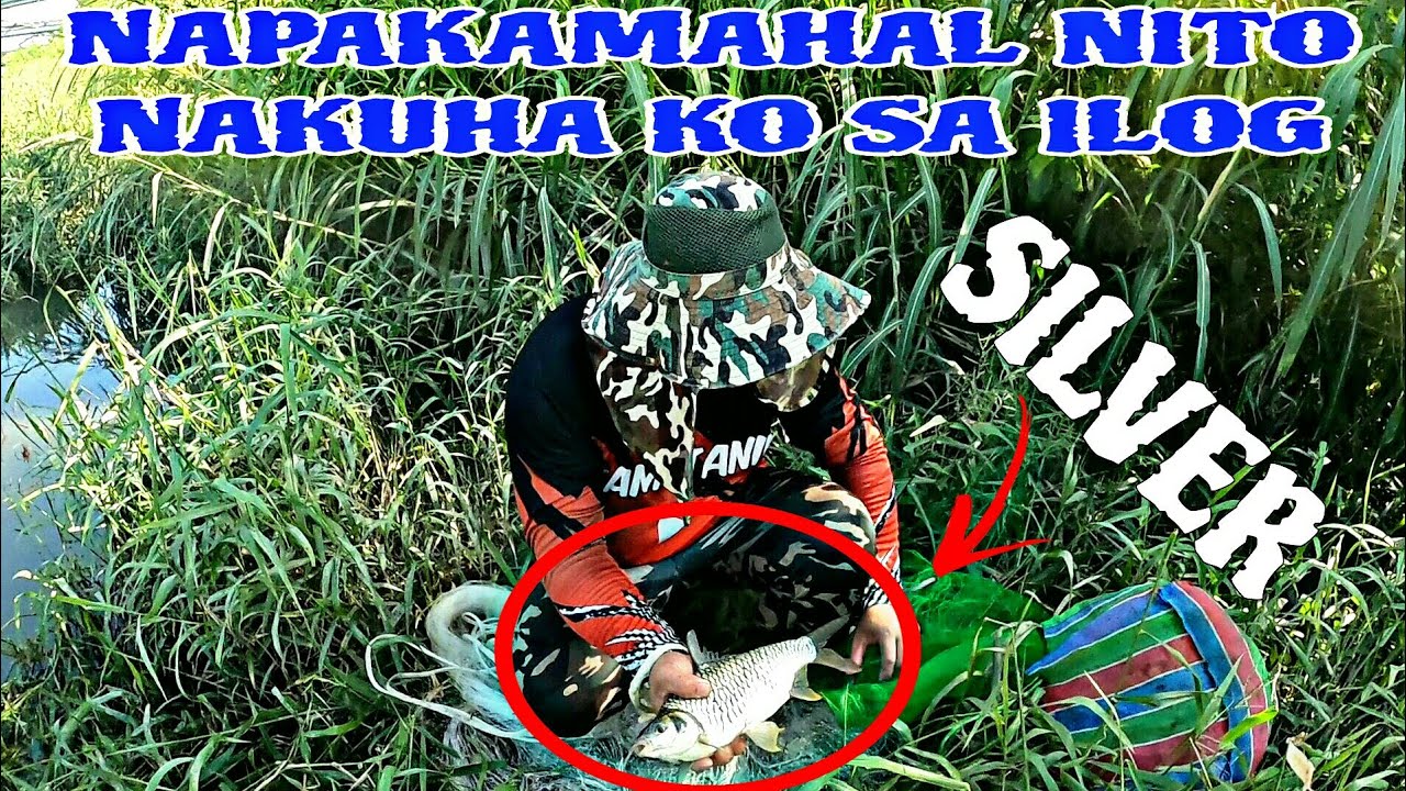 NAHULI KO DIN ANG PINAKAMAHAL NA ISDA GRABE PINASOK KO ANG GUBAT MAHULI ...