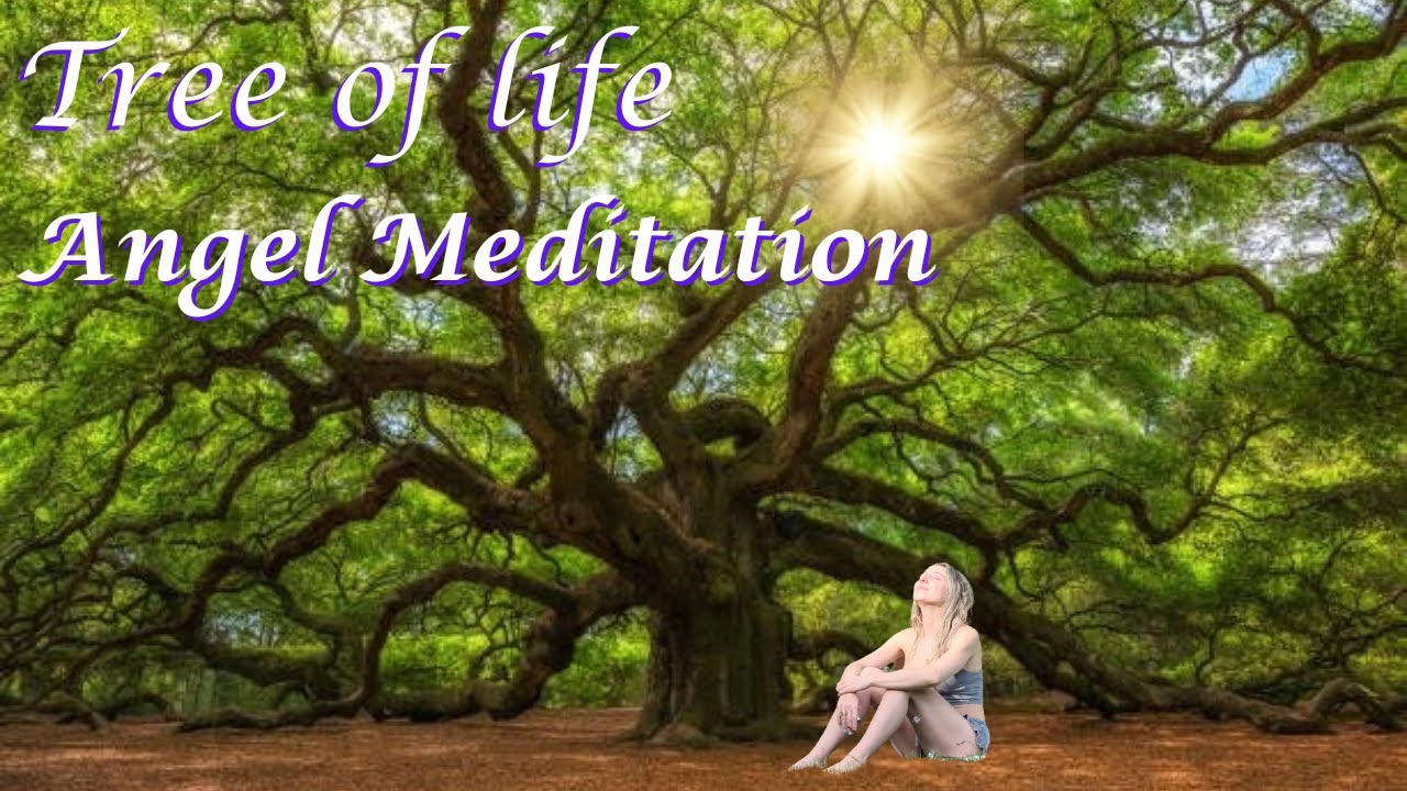 *Tree of Life* Enchanted Angel Meditation* Guided by the Angelic Realm ...