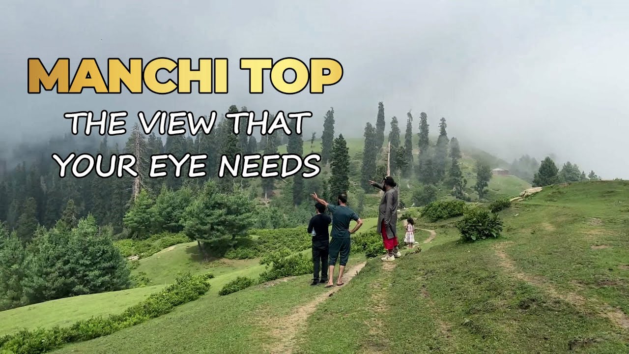 Manshi Top|Sharan|Tacking|The View that Your Eye Needs|Sarmad Sultan ...
