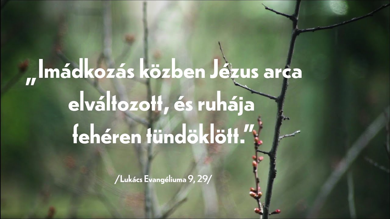 Reggeli üzenet 😇 Imádkozás közben Jézus arca elváltozott, és ruhája ...