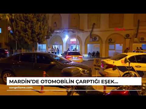 Mardin’de otomobilin çarptığı eşek ile üzerindeki kişi yaralandı