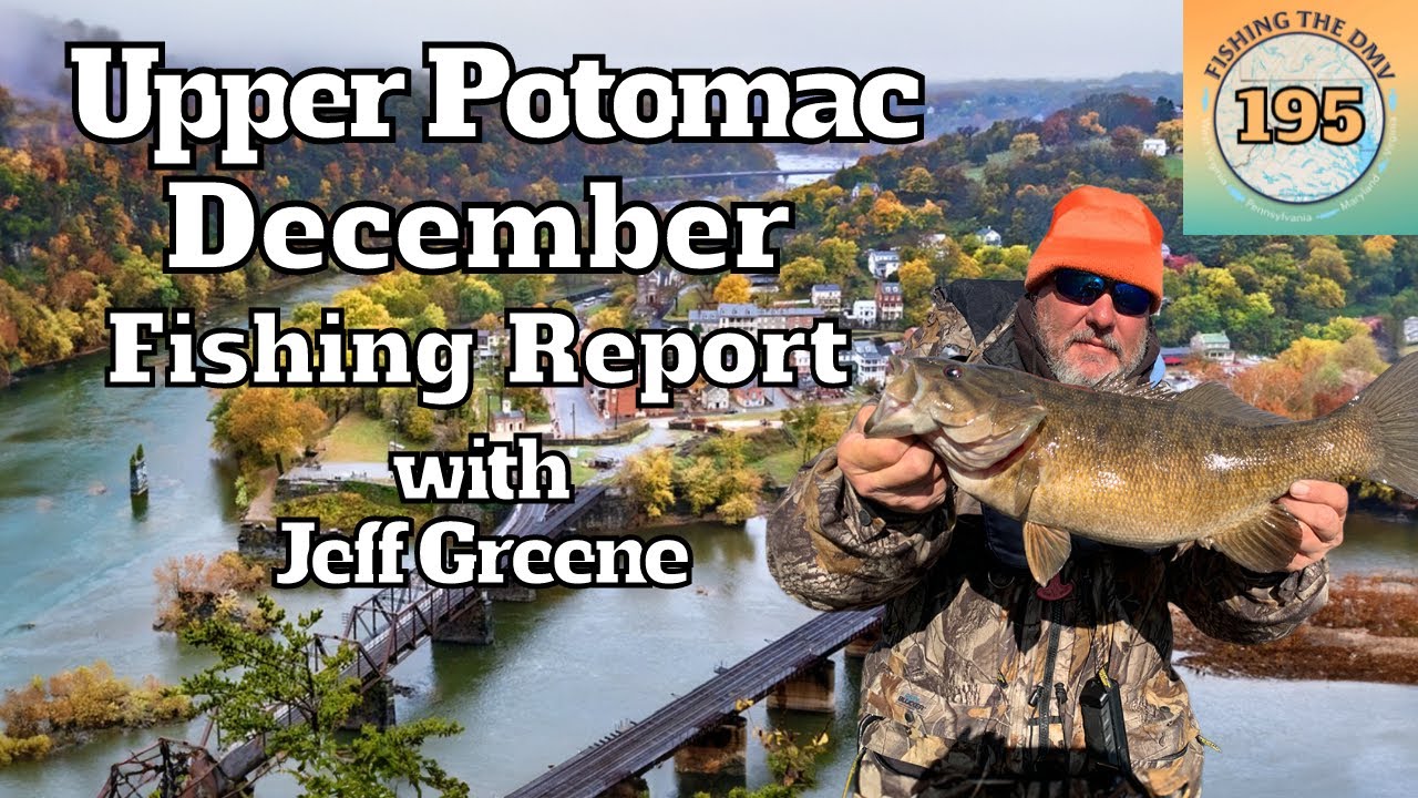 December Upper Potomac River Fishing Report with Shallow Water Fishing ...