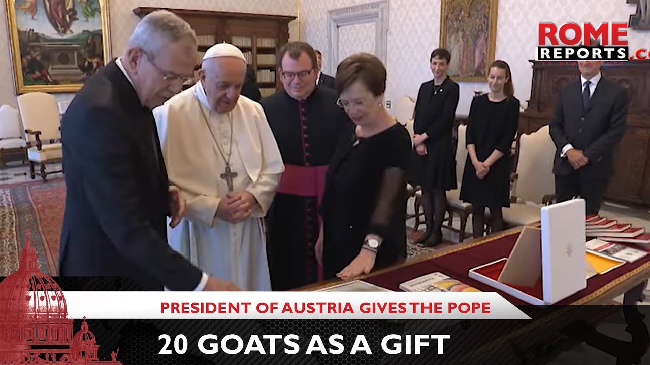 President of Austria gives the Pope 20 goats as a gift - YouTube
