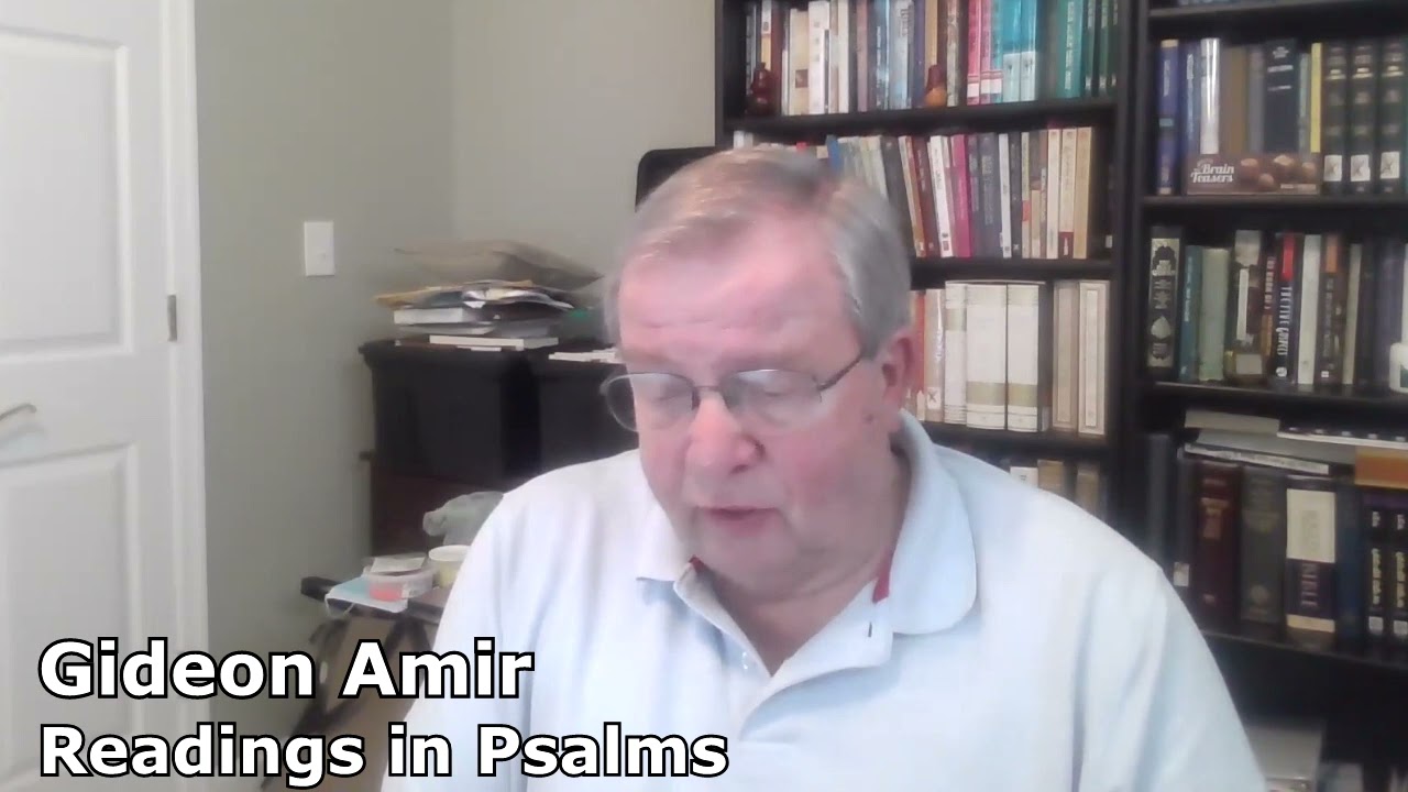 Gideon Amir