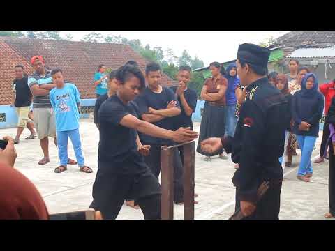 UJIAN KENAIKAN SABUK WAHYU SEJATI PAMUNGKAS 2017 RANTING WONOREJO
