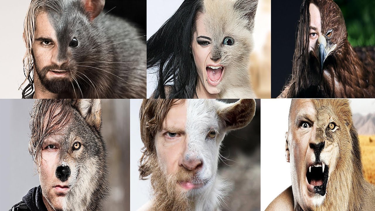WWE Top 15 Superstar Spirit Animals | You will love Them [HD] - YouTube