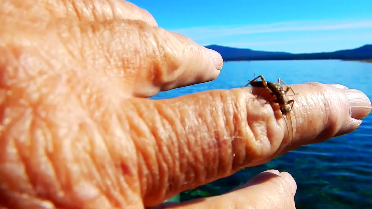 Dave Scadden's 2021 Air Craft Carrier Float tube Sneak Peek - YouTube