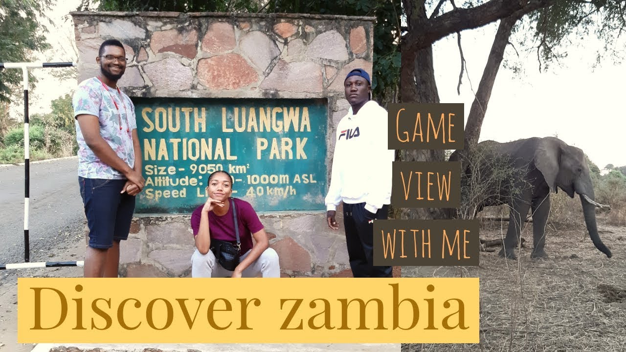 VLOG| SOUTH LUANGWA NATIONAL PARK ZAMBIA |MFUWE - YouTube