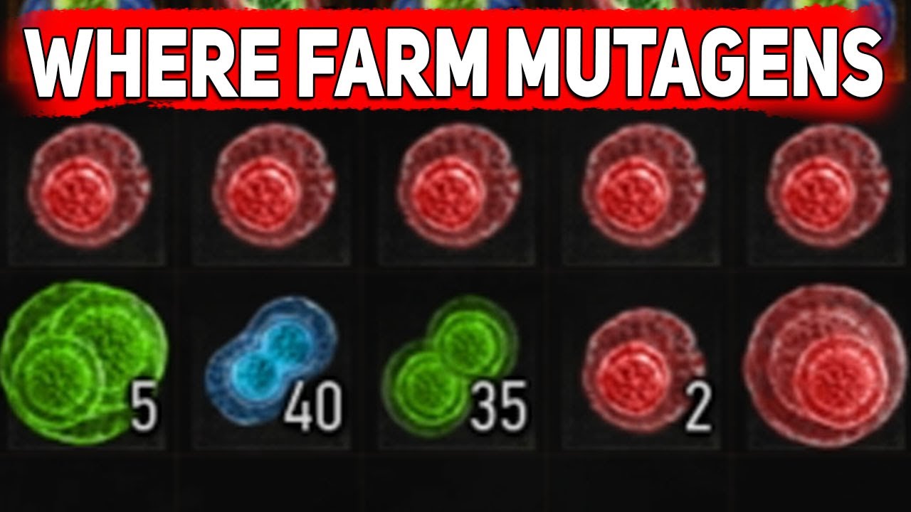 The Witcher 3 Where To Find Green Mutagens, Where To Find Blue Mutagens ...