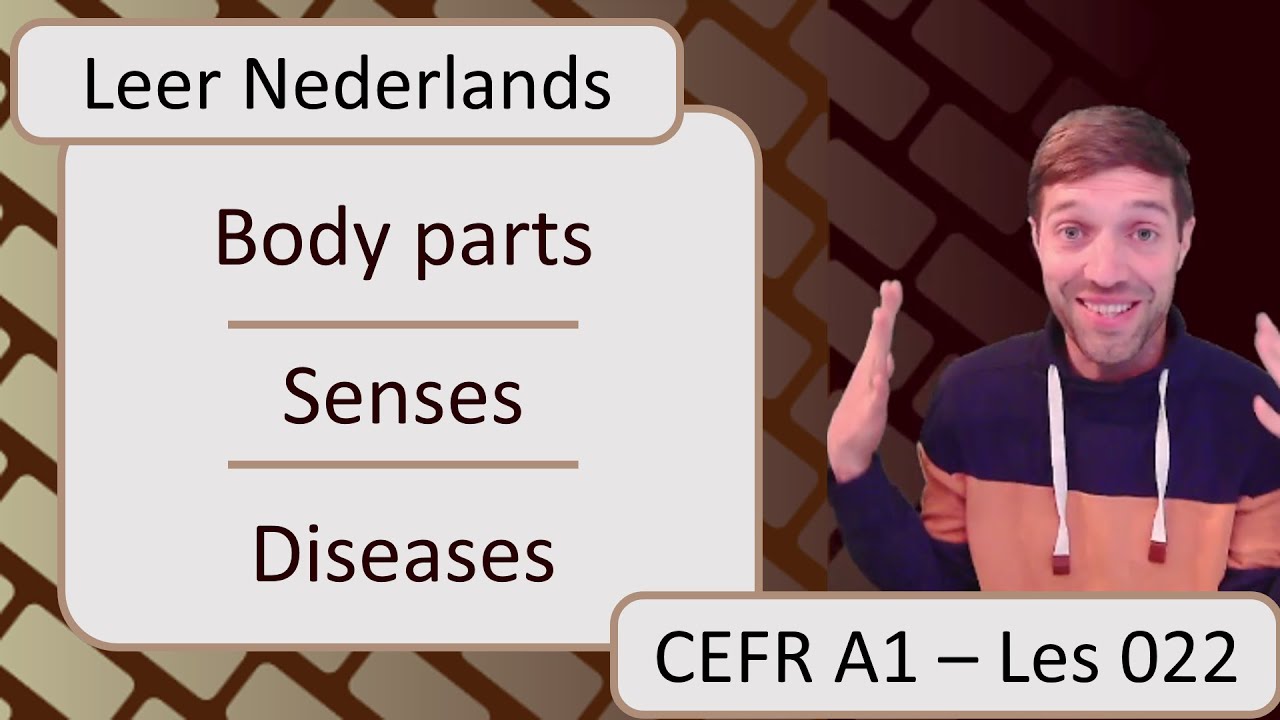 Learn Dutch (Flemish): body parts, 5 senses, diseases (Lesson 022 ...