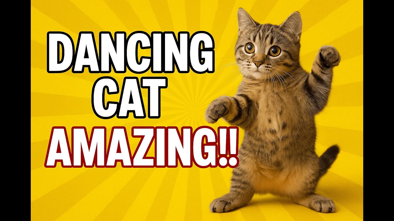 This Cat's Dance Moves Will Blow Your Mind! 😻💃 - YouTube