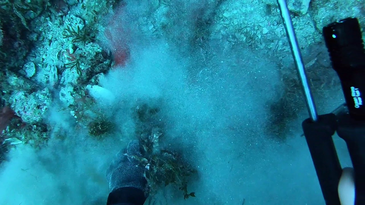 Meg Dive Full - August 4 2019 - YouTube