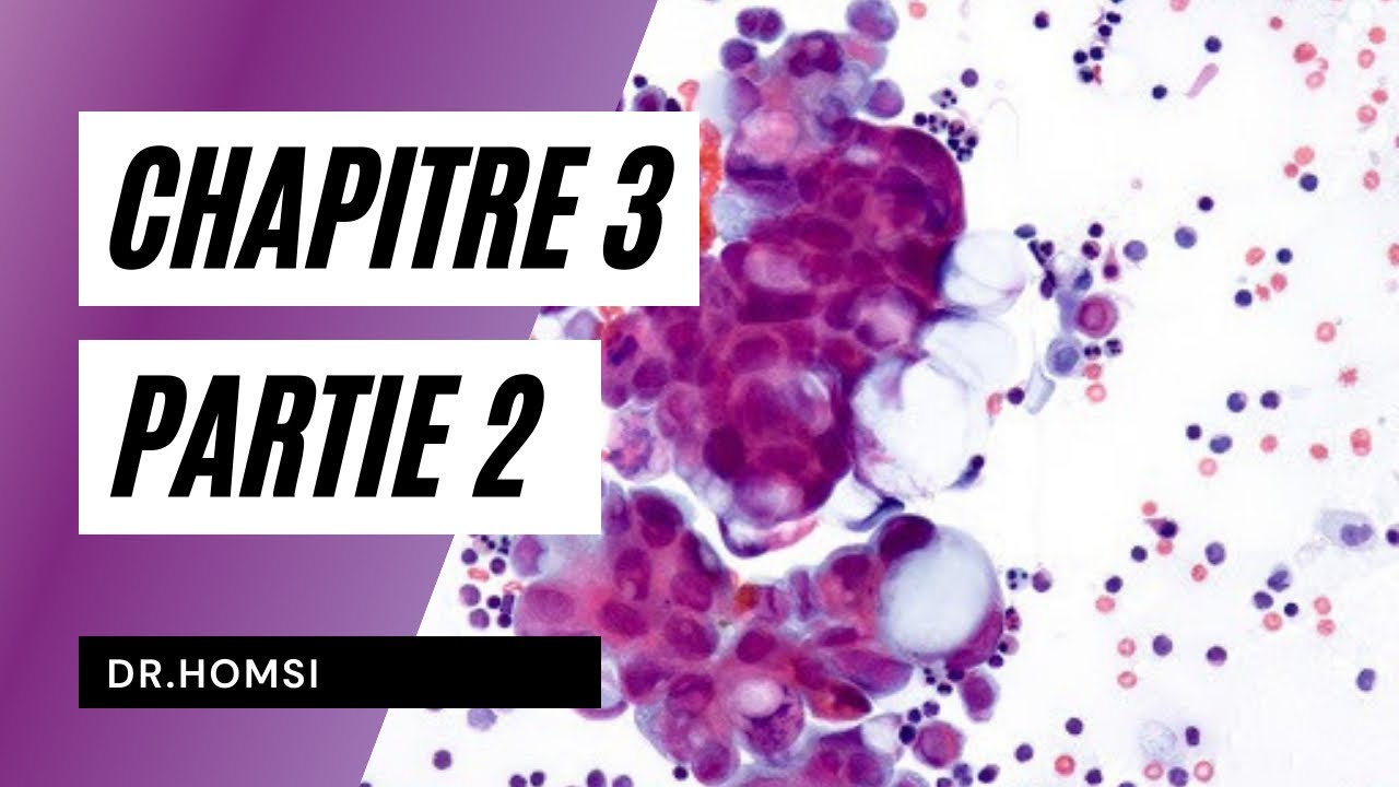 Cytologie | Chapitre 3 P2 | Dr Homsi - YouTube