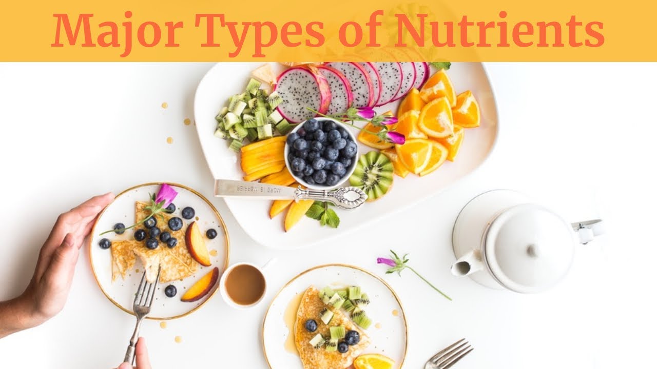 Major Types of Nutrients - YouTube