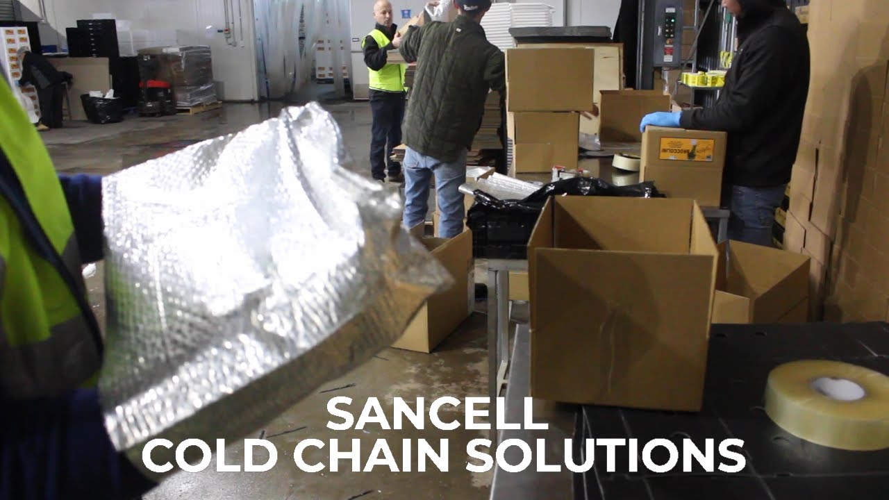Silver Sheen Phoenix Cold Chain Insulated Carton Liners - YouTube