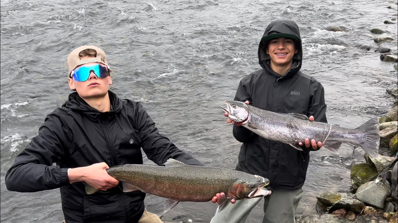 BIG California Steelhead CHOMPING ROE! - YouTube