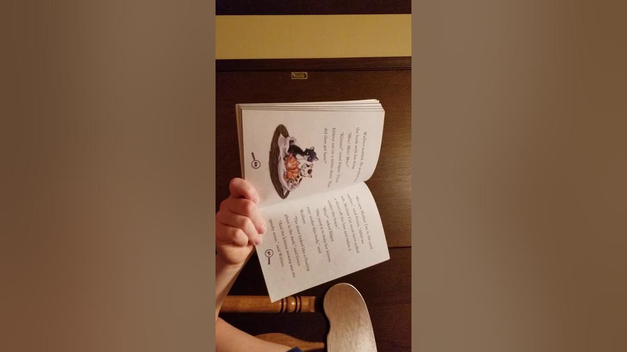 #Readwithme2020 Wallace & Grace Take the Case Pt. 2 - YouTube