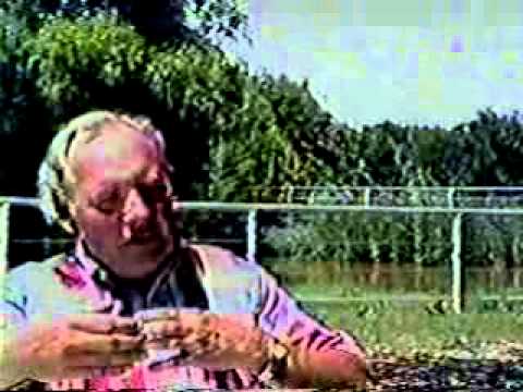Indictment - Inside the Oklahoma City Grand Jury - The Hoppy Heidelberg ...