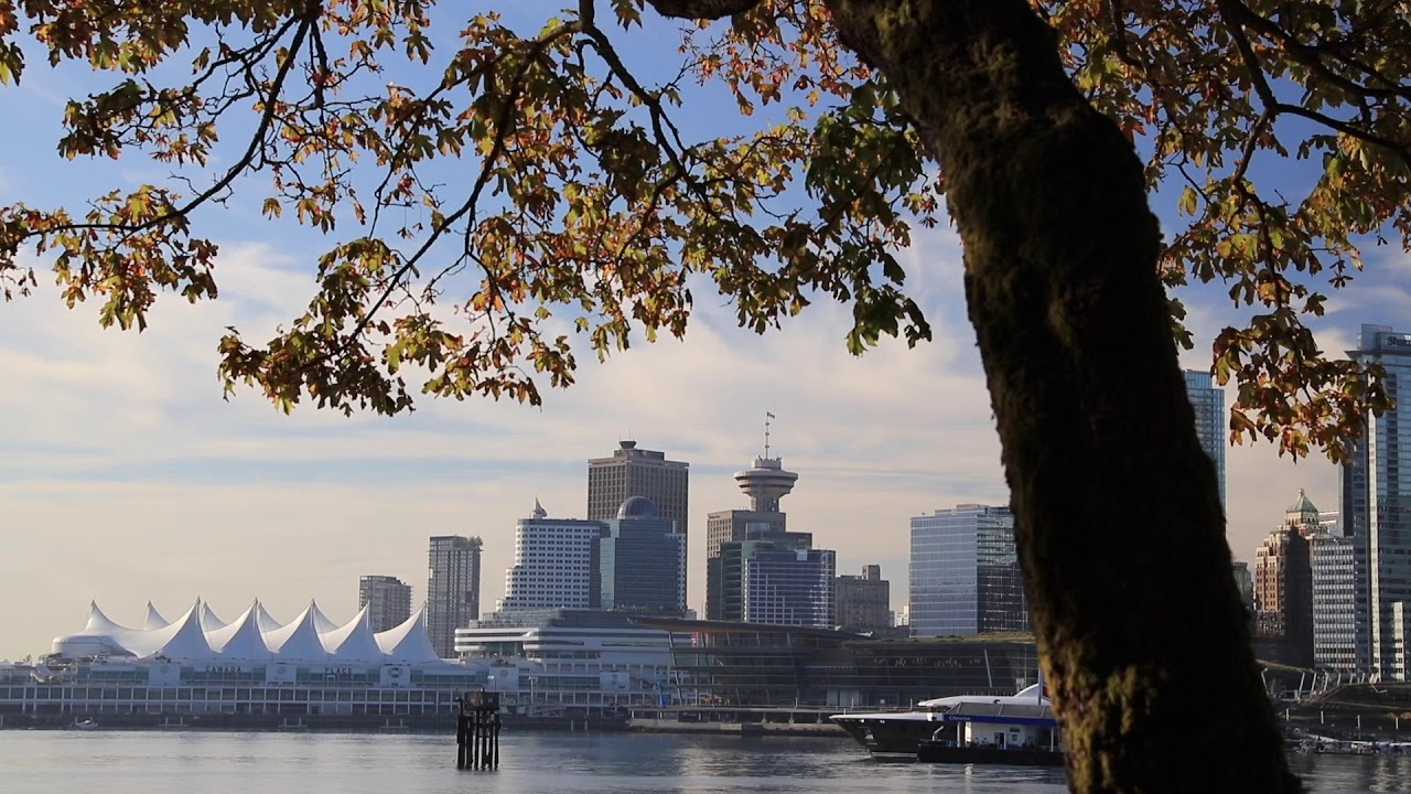 Vancouver Morning (Organic Video) - YouTube