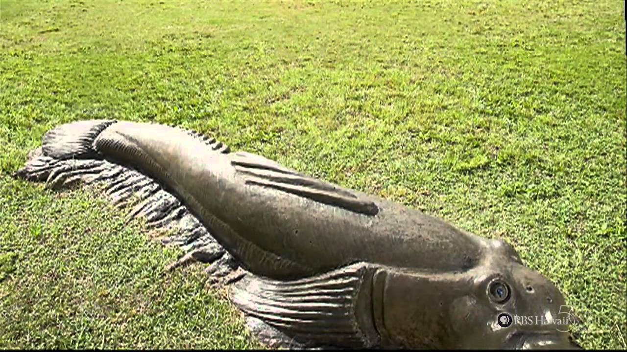 PBS Hawaii - HIKI NŌ Episode 208 | Kapolei High School | Oopu - YouTube