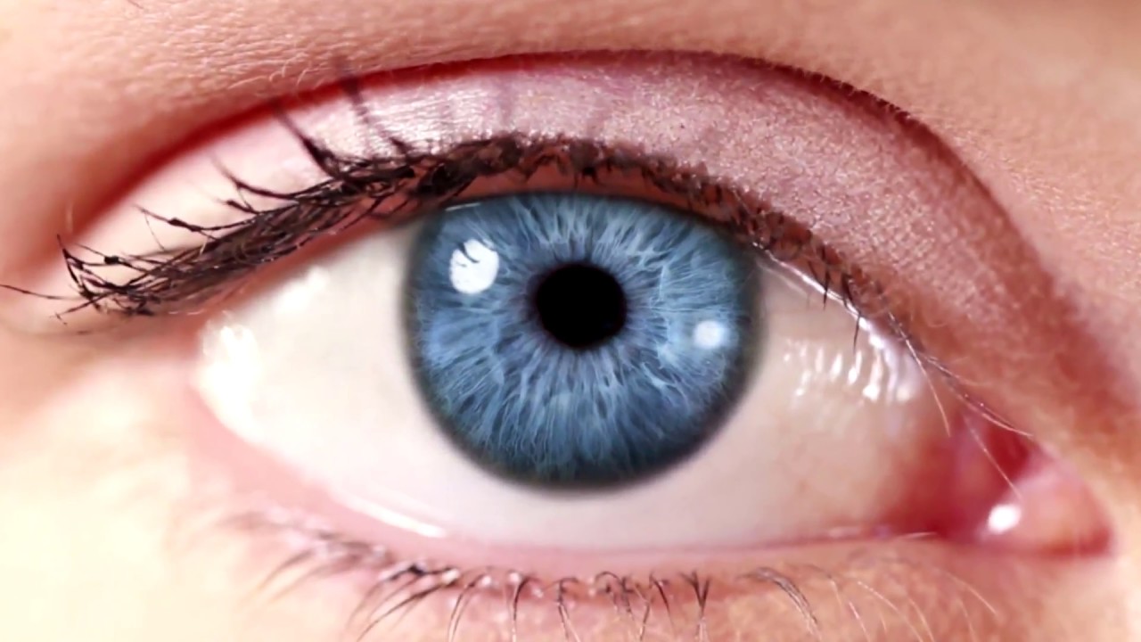 Eye on Research | AMI-tv Documentary - YouTube