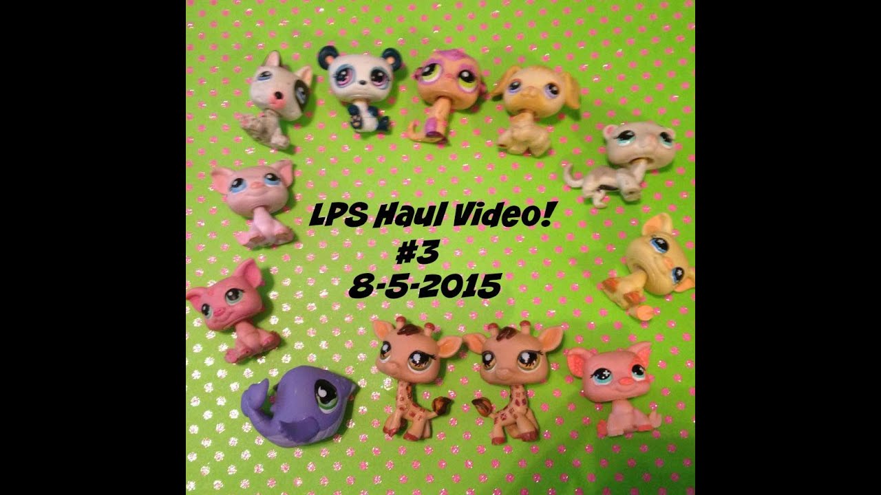 LPS Haul- With Tom! 8-4-2015 - YouTube