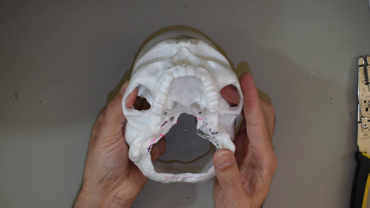 3 Axis Skull "Twisty Skull Kit 2.1" - Part 2 of 3 - Skull - YouTube